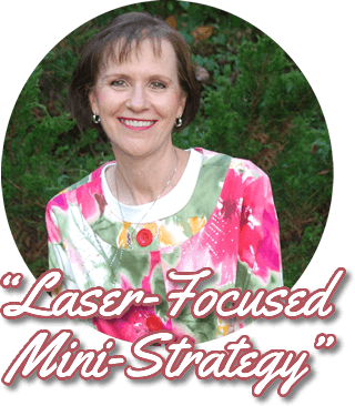 The 30-Minute “Laser-Focused, Mini-Strategy” Session